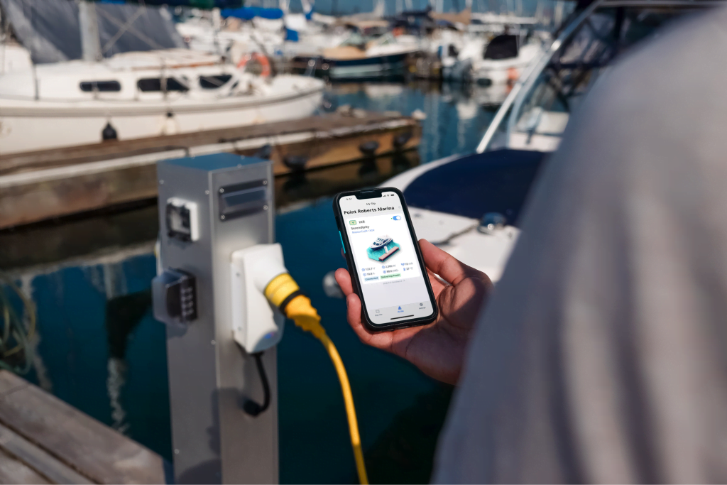 Creating an Ecosystem is More Powerful Than just a Shore Power Pedestal ...